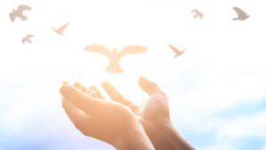 Potente preghiera per chiedere a Dio il dono del perdono