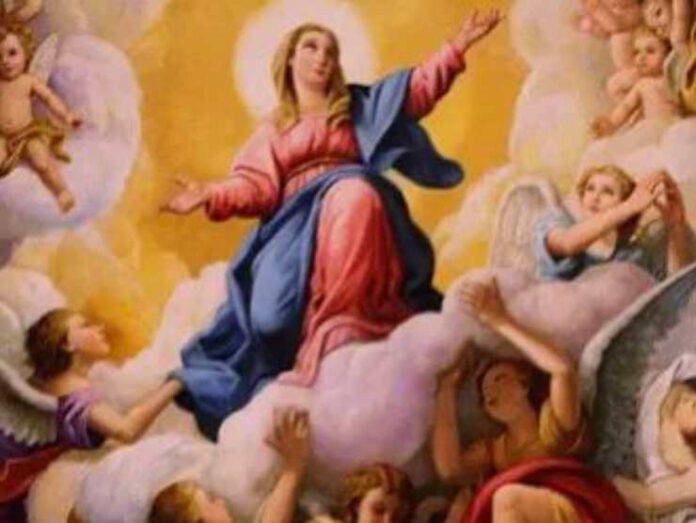 Novena alla Madonna Assunta in Cielo - quinto giorno