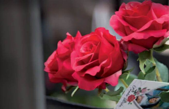 Santa Rita: ecco il miracolo delle api e delle rose famoso in tutto il ...