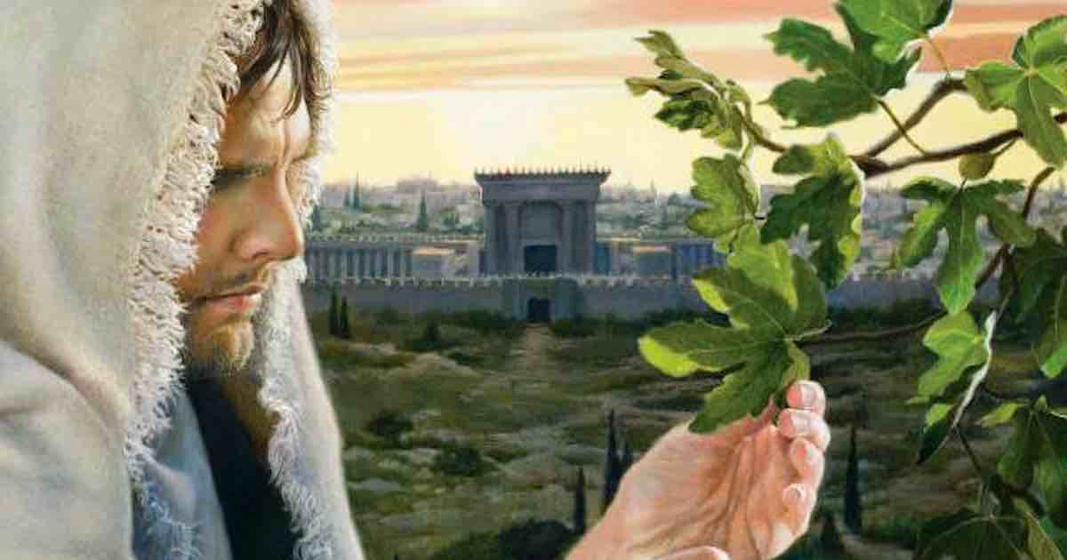 Vangelo di oggi 2 Giugno 2023: Mc 11,11-25 | Video commento - La Luce ...